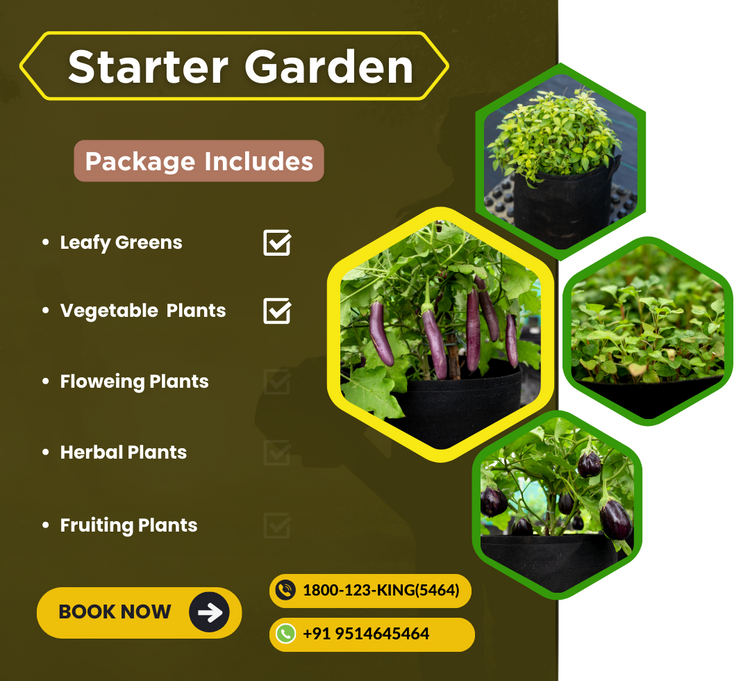 HortKing Garden Setup – HortKing Gardening