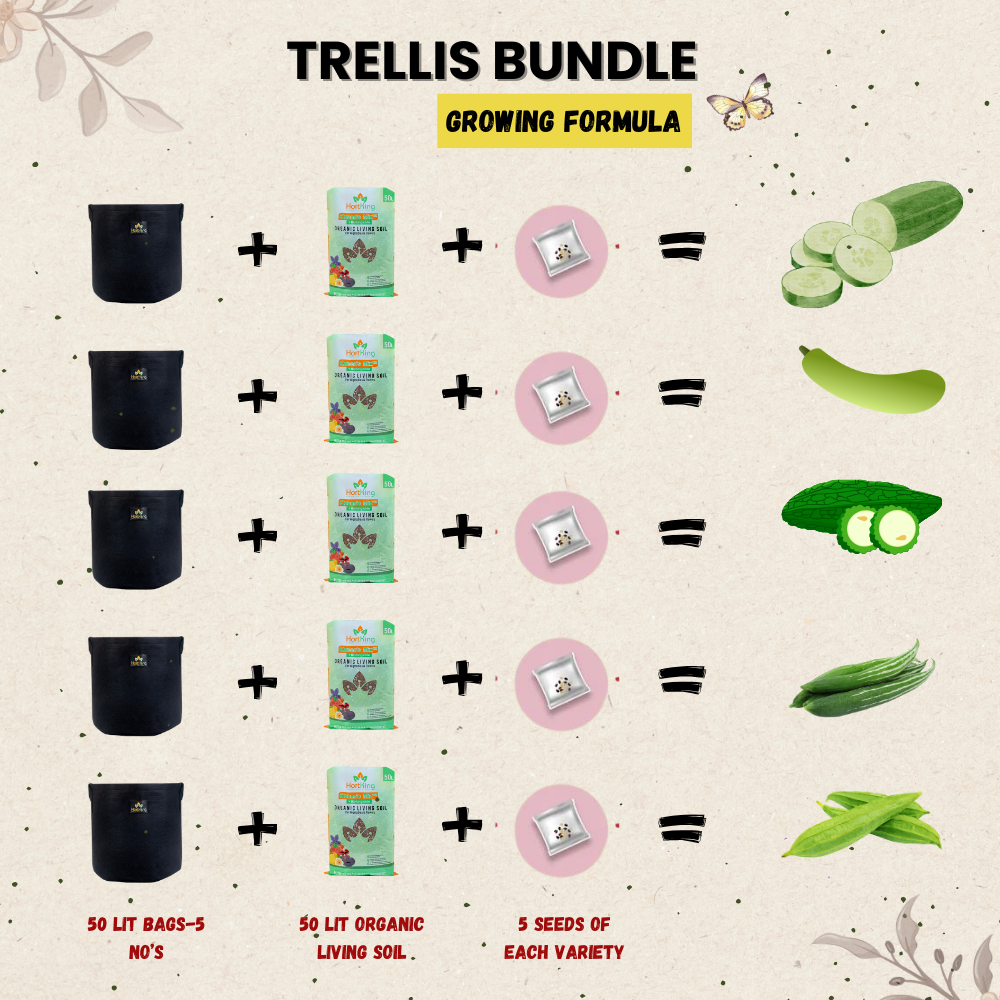 Trellis Bundle – HortKing Gardening
