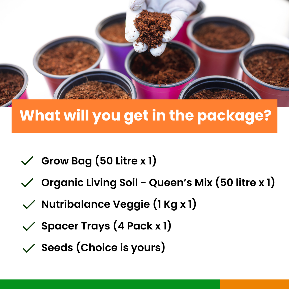 Essential Vegetable Starter Pack – HortKing Gardening